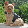 DOGGIE DESIGN Dog Tuxedo w/Formal Tails- Black, XL (Chest 21-26 ...