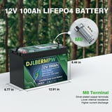DJLBERMPW 12V 100Ah Lithium Battery Group 31, LiFePO4 Deep Cycle Battery 100A BMS for RVs, Boats ...