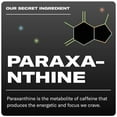 Update Energy Drink With Paraxanthine: No Jitters, No Crash, No ...