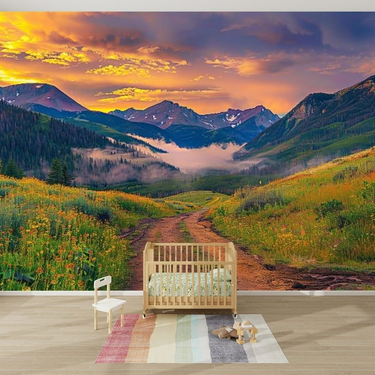 Colorado Wall Murals