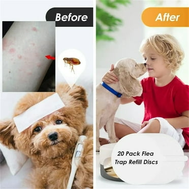 G·PEH 20 Pack Flea Trap Refill Discs 7.1 Inches Sticky Pad Refills ...