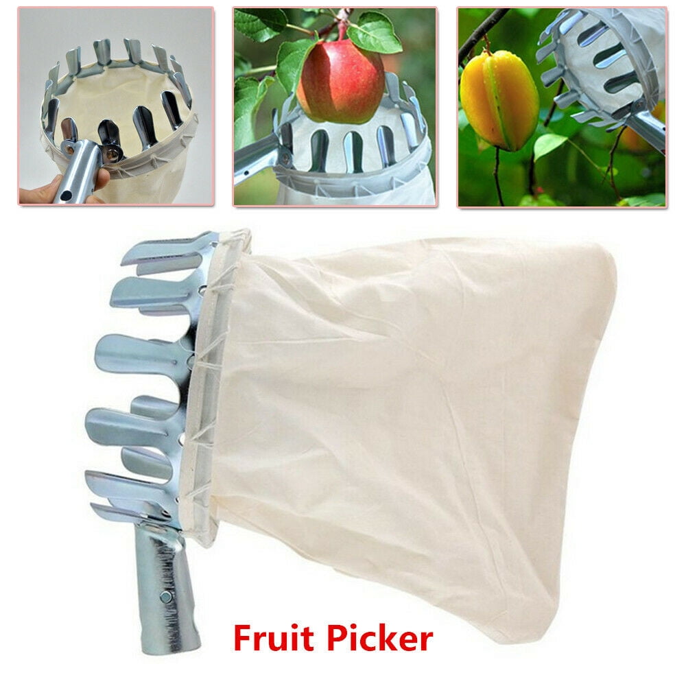 SPRING PARK Outdoor Fresh Fruit Picker Apple Orange Peach Pear Garden ...