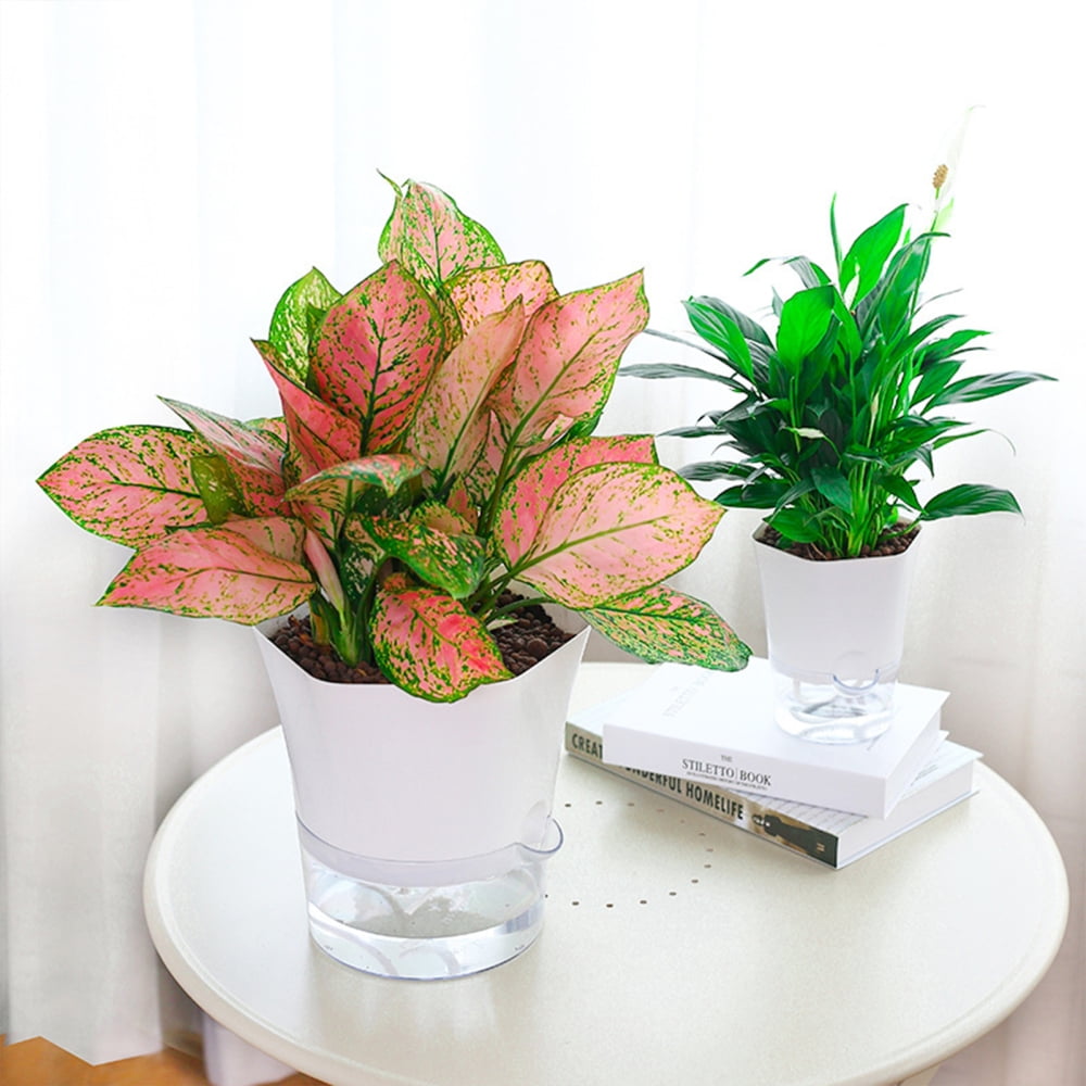 Transparent Plastic Self Watering Planter Automatic Water Absorption ... Transparent Plastic Self Watering Planter Automatic Water Absorption ...