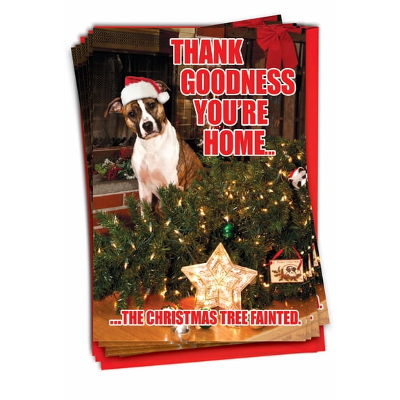 12 Funny Merry Christmas Cards Pack (1 Design, 12 Cards) - Just Get In ...