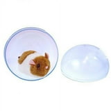 Happy Hamster Toy with Brown Fur, Exercise Ball Included, Suitable for ...