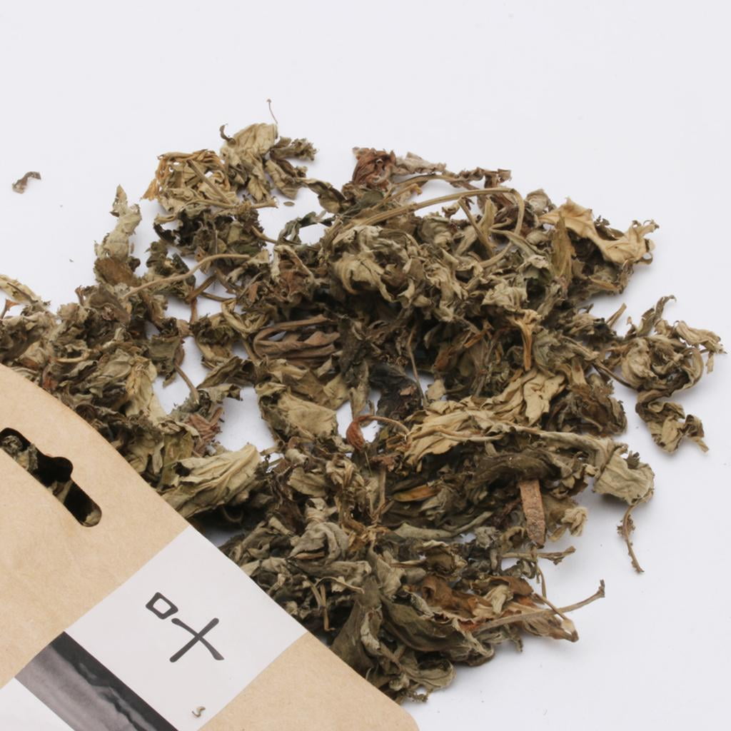 200Gramo Hierba de Ajenjo Natural Seco / s Acupuntura / de para ...
