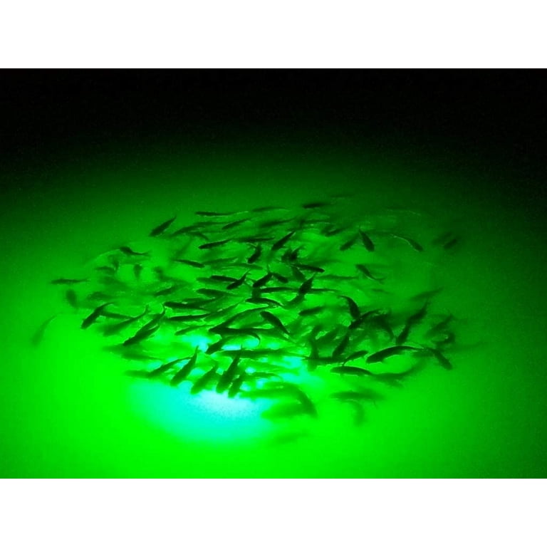 Underwater Fishing Light Walmart Quarrow 90 LED Submersible Fishing