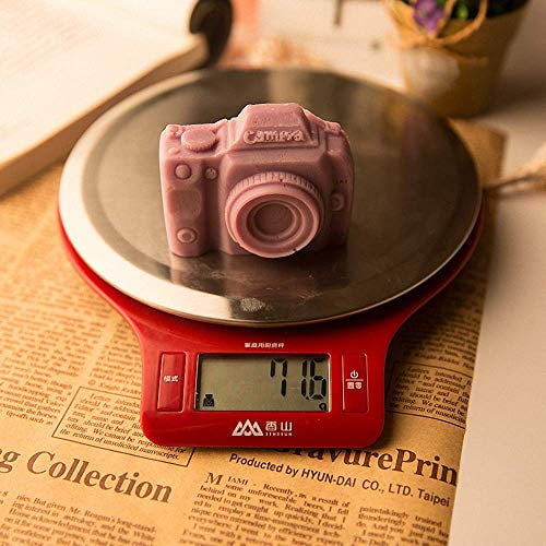 Camera Cake Mold