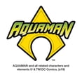 Aquaman Logo Low Profile Thin Mouse Pad Mousepad - Walmart.com
