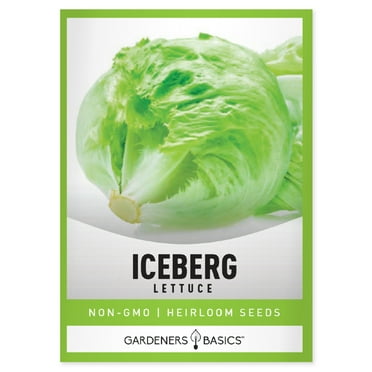 Four Season Lettuce Seeds - Slow Bolting Wosun Won Sun Asian Vegetable ...