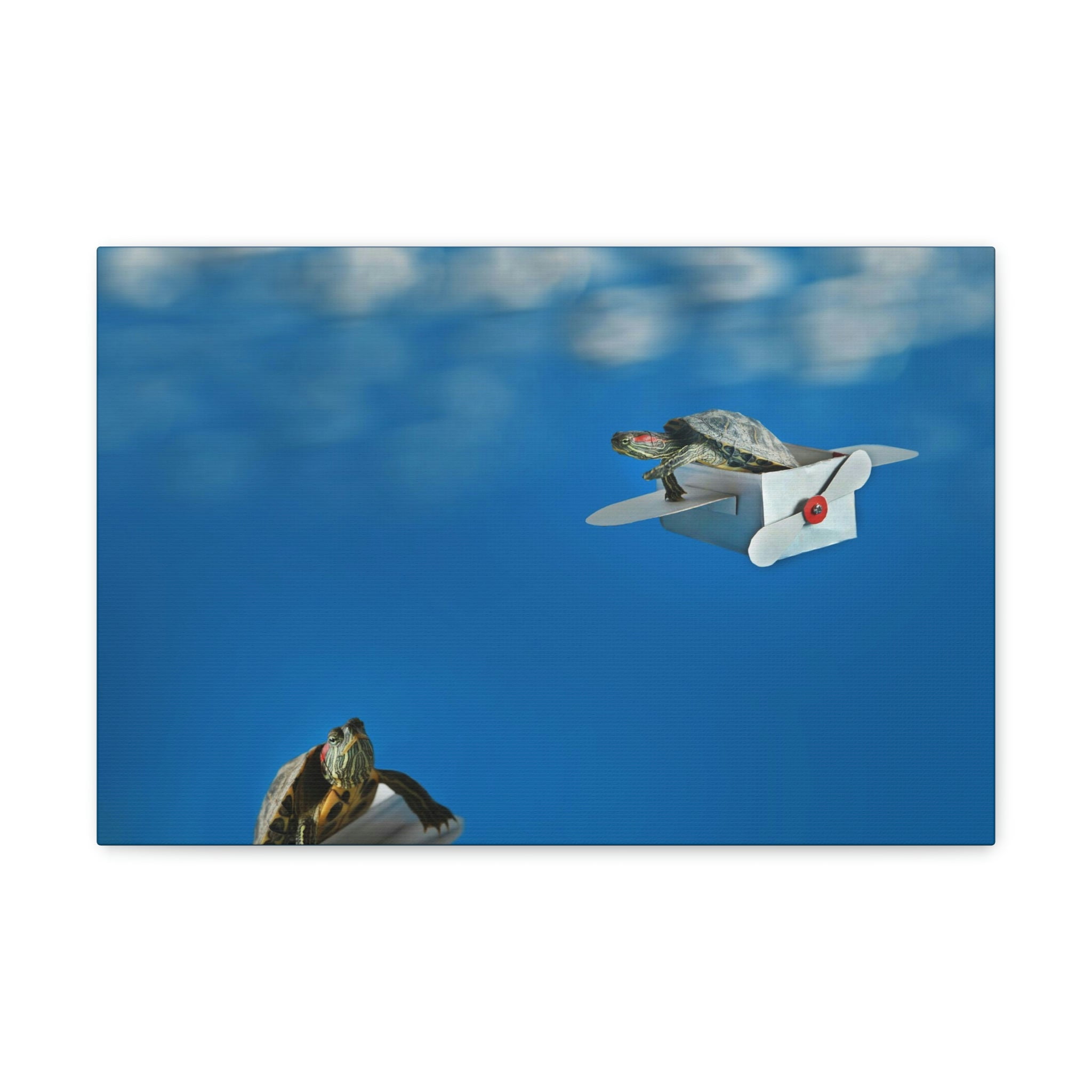 Funny Turtle Silly Turtle Couple Wall Art Ready to Hang Unframed ...