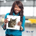 3drose, Stunning Tabby Cat Close up Portrait Vector Isolated, 15x15 ...