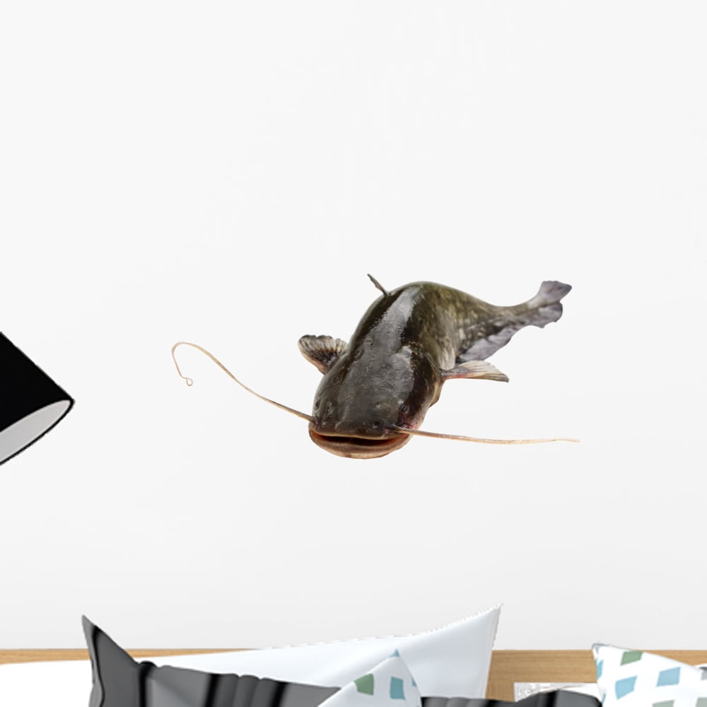 Big River Catfish Wall Decal by Wallmonkeys Peel and Stick Graphic (18 ...