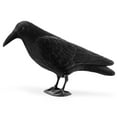 Navaris Crow Decoy - Fake Black Crow Decoy for Attracting Crows ...