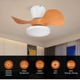 Quiet Ceiling Fan with LED Light 22 inch Large Air Volume Remote ...