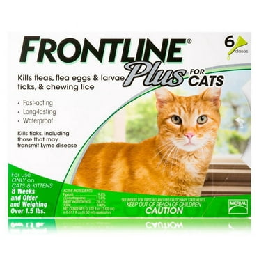Advantage Flea Control for Cats 1-9 lbs 4 Month Supply - Walmart.com