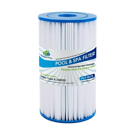 Intex 2-Pack Type B Pool Filter Replacement for 2500 GPH Pump, Above ...