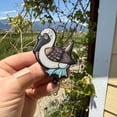 Booby Badge Reel ID holder: Gift for Nurses, Blue Footed Bird lovers ...