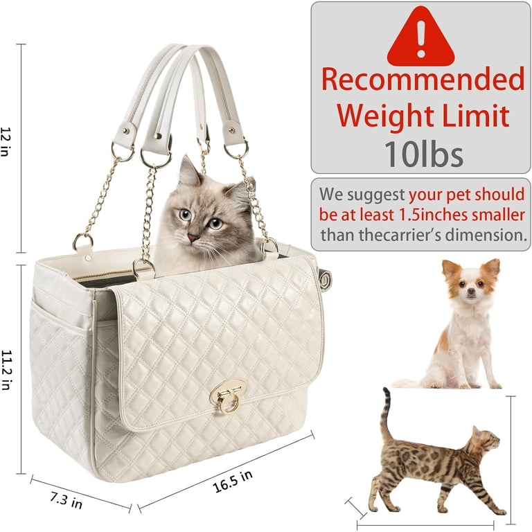 Fashionable Pet Carrier Purse Dog Carriers For Small Dogs Aazon.co ...