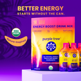 Purple Tree Organic Energy Booster Packets, Natural Caffeine, B12 ...