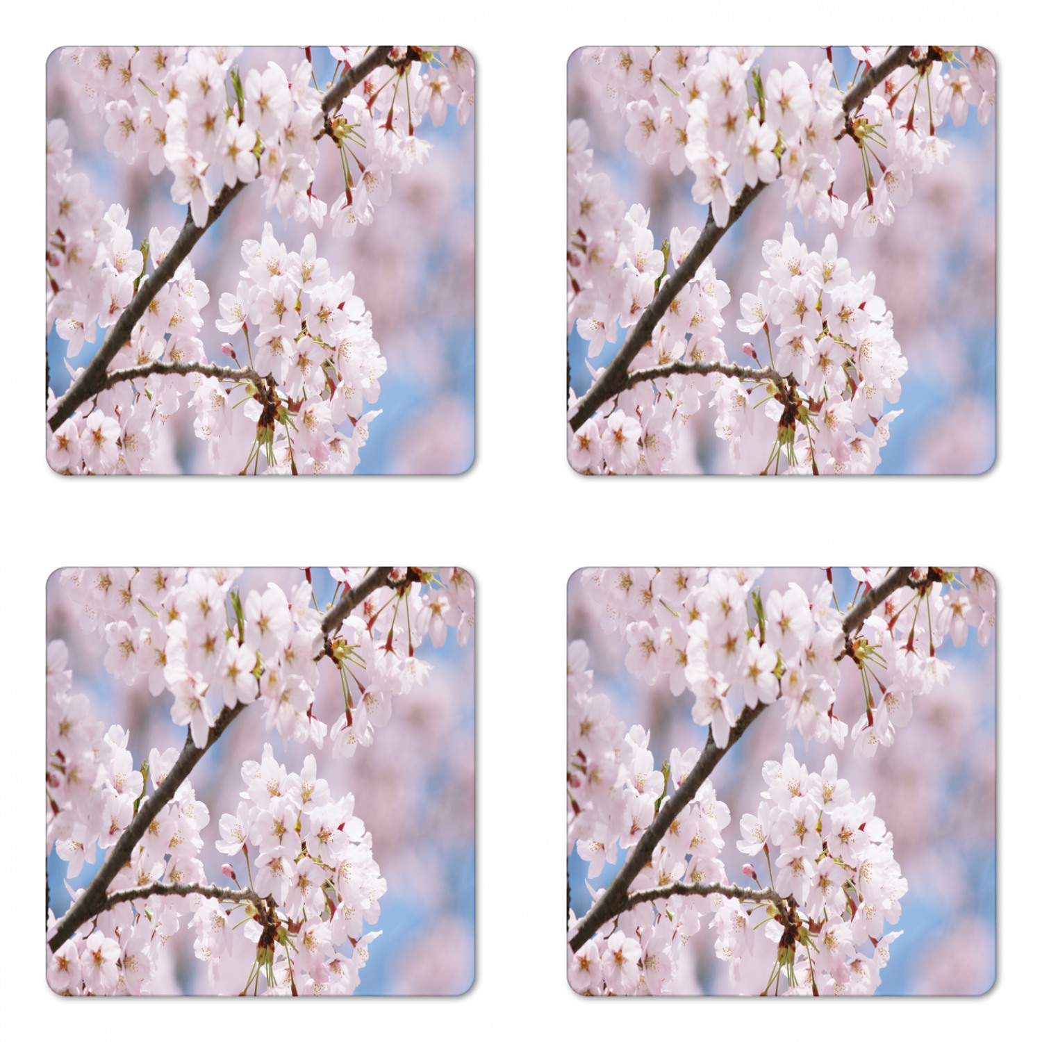 Spring Coaster Set of 4, Floral Tree Branches Cherry Blossoming Petals ...