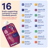 Cerebelly Organic Stage 2 Baby Food, Beet Carrot Blueberry, Coconut ...