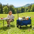 Blazezo Foldable Wagon Cart with Wheels, 220 lbs Heavy Duty Collapsible ...