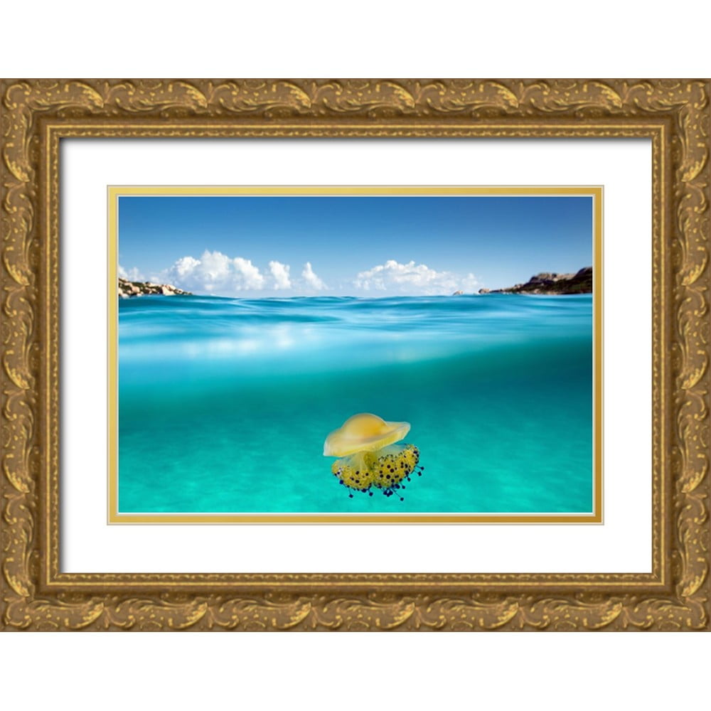 Sysa Moiola, Roberto 14x11 Gold Ornate Wood Framed with Double Matting ...