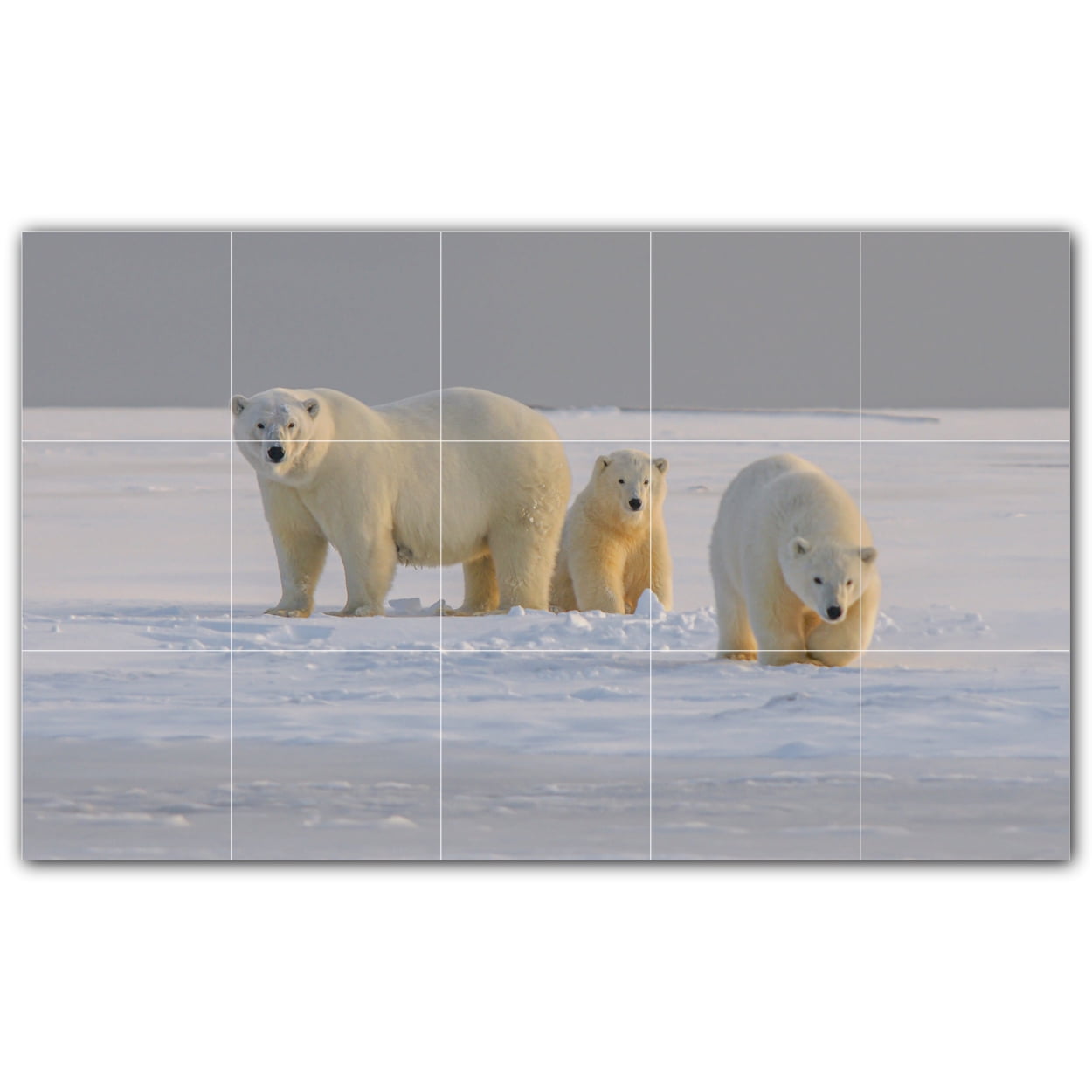 Picture-Tiles.com: Bear Ceramic Tile Wall Mural WAL500112-53XL. 60"W x ...