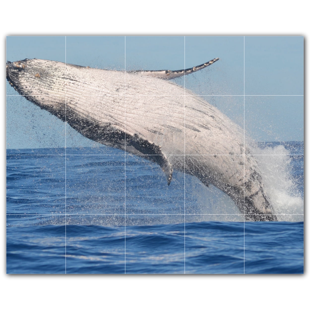 Picture-Tiles.com: Whale Ceramic Tile Wall Mural WAL501192-54L. 40"W x ...