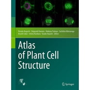 BarCharts- Inc. Marine Biology Guide - Multi-colored laminated ...