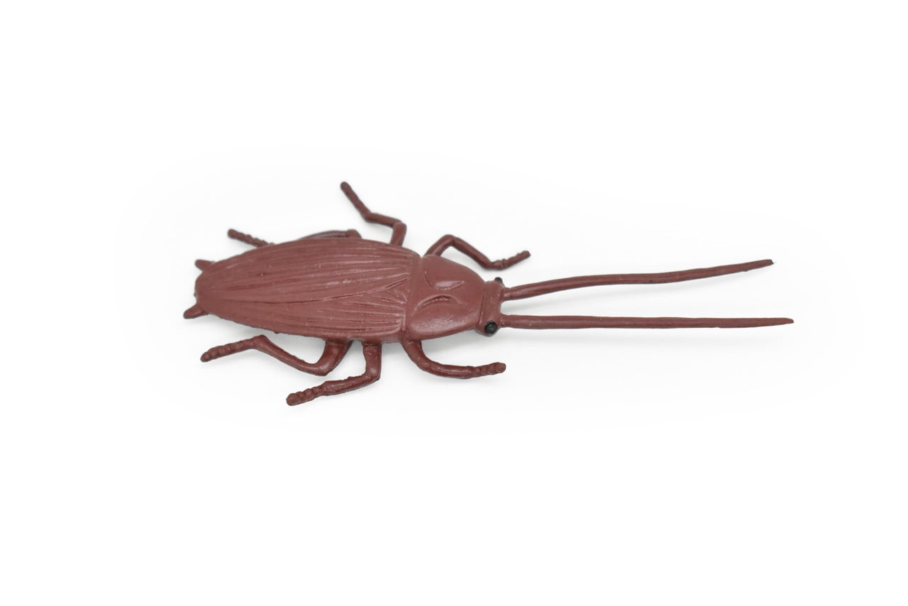 Cockroach, Rubber Toy Insect, Realistic Figure, Model, Replica, Kids ...