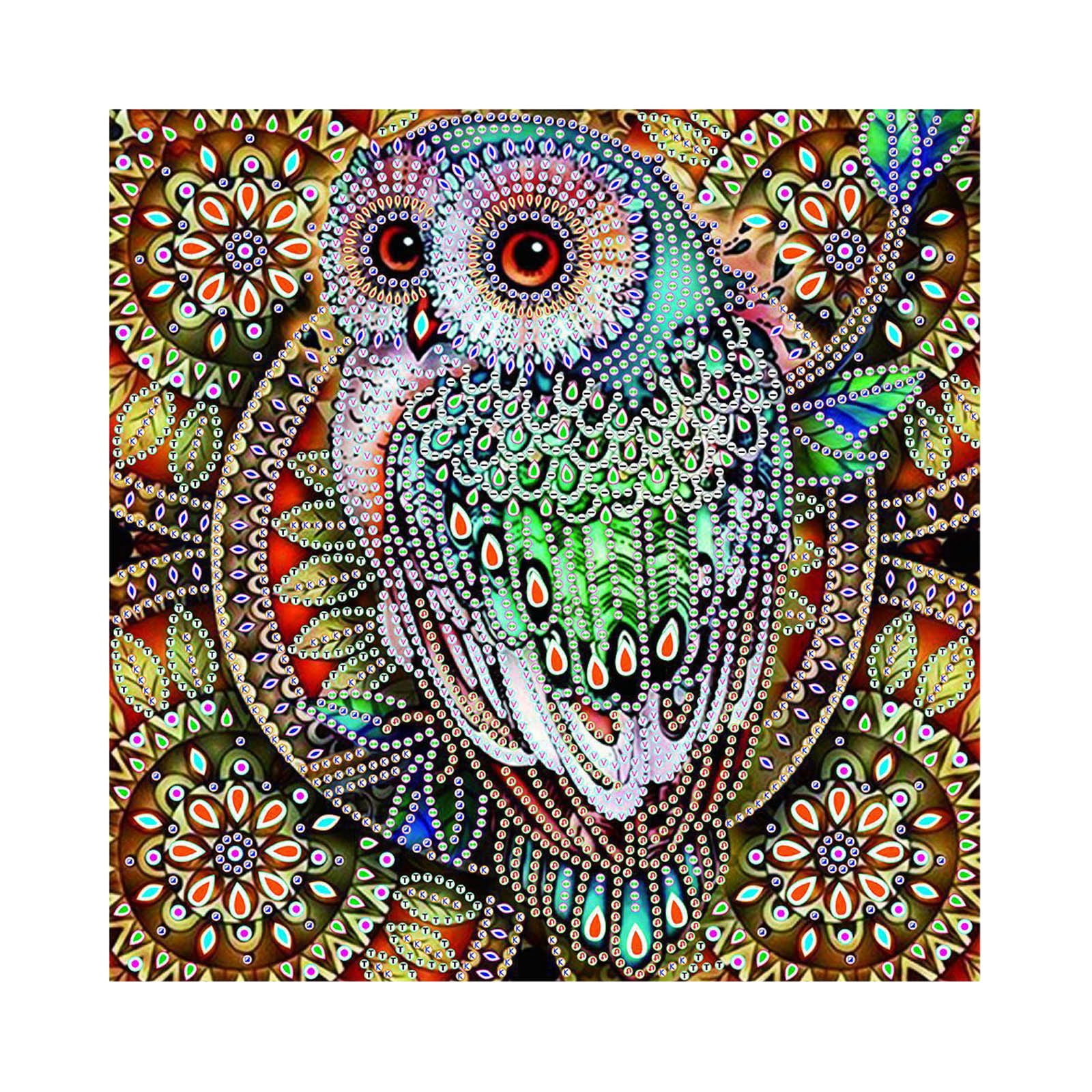 Fen Diy 5d Kits With Tool And Introductions Colorful Owl Set Diy Art Craft Home Wall Decor For Kids Teenager One Size