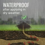 TERRO Fire Ant Killer Granules 2 lb Outdoor Long-Lasting Waterproof ...