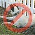 Dog Proofer No-Dig Dog Fence, Up to 50 Ft Length / 24" Height - Walmart.com