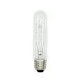 Creative Hobbies Incandescent Light Bulbs, 25 Watt, T10 Clear Tubular ...