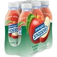 Snapple Natural Zero Sugar Apple Juice, 16 fl oz, 6 Bottles Case ...