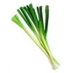 300 *Seeds Evergreen NEBUKA BUNCHING ONION Japanese Allium Fistulosum ...