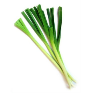 300 *Seeds Evergreen NEBUKA BUNCHING ONION Japanese Allium Fistulosum ...