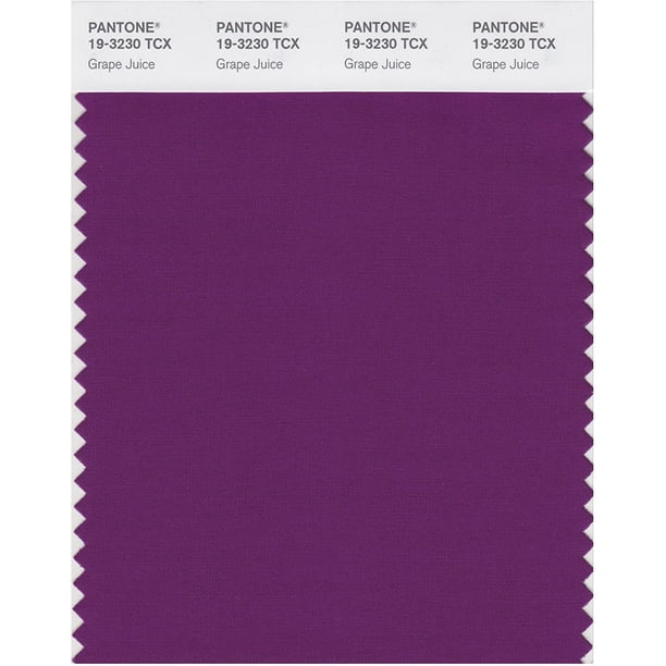 PANTONE SMART 19-3230X Color Swatch Card, Grape Juice - Walmart.ca