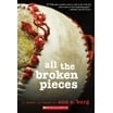 All the Broken Pieces, (Paperback) - Walmart.com