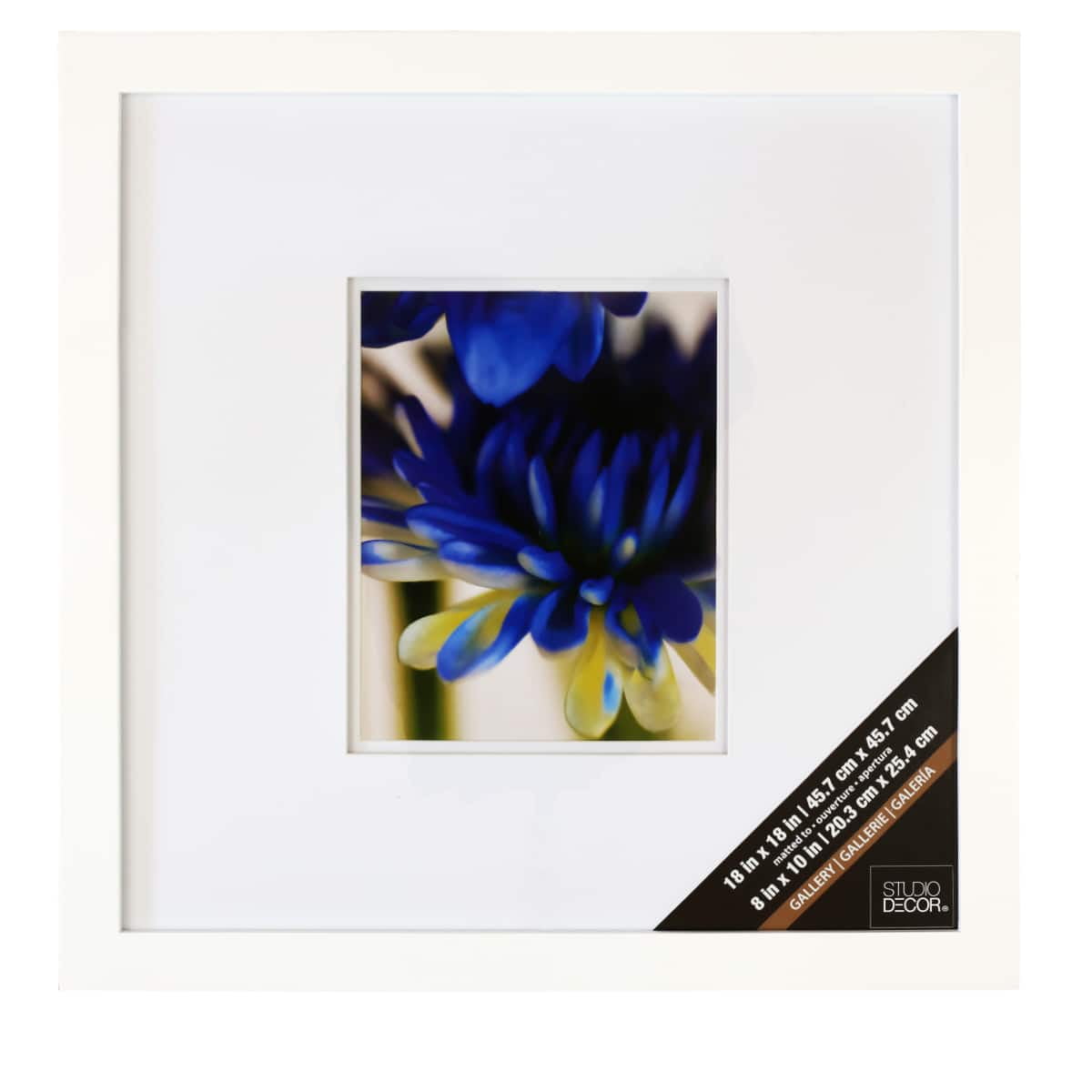 8 Pack: White Square 8" x 10" Frame with Double Mat, Gallery by Studio ...