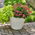 Better Homes & Gardens Sandy Recycled Resin Planter Vanilla Dream 21 ...