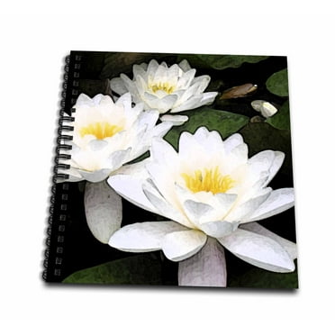 3drose Db_26849_1 Sea Turtles-drawing Book 8 By 8-inch 2 How To Draw A ...