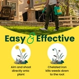 Sunday Dandelion Doom Broadleaf Herbicide Spot Treatment 1 gal/128 oz ...