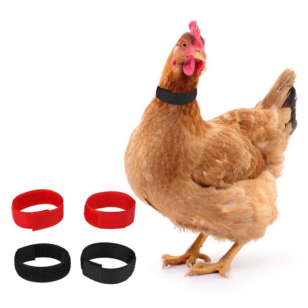 SPRING PARK 2PCS for Roosters Neck Belt No Crow Noise Nylon Anti Crow ...
