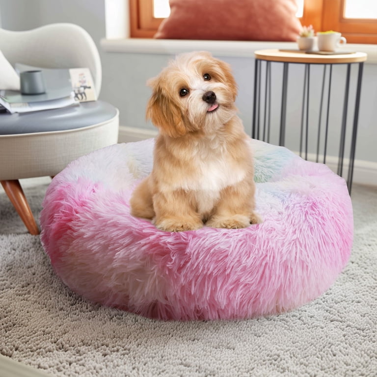 Dog Beds Medium Sized Dog Medium Dog Bed Petloox Donut Dog Bed ...