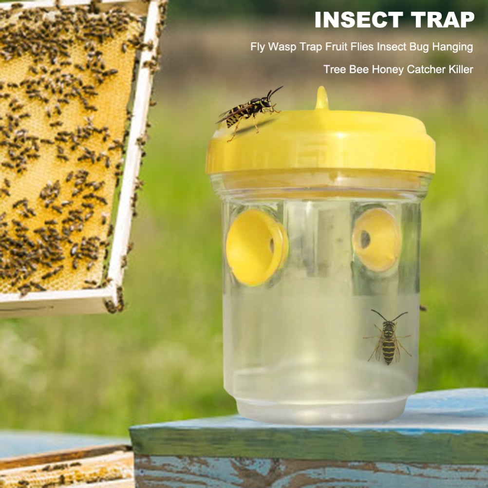 Wasp Trap Bee Trap Wasp Trap Hanging Wasp Cather Wasp Killer Reusable ...