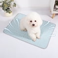 2026 Washable Ice Silk Pet Cooling Mat 90x70cm for Puppy Cats Summer ...