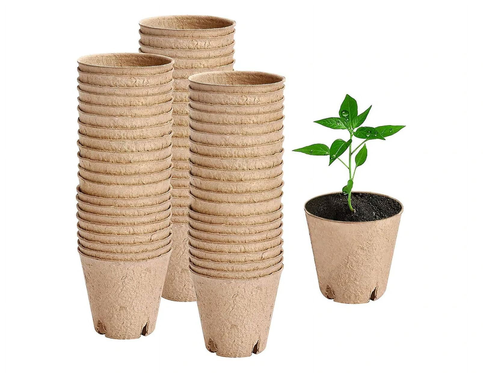 Paquete de 60 macetas de turba biodegradables Zhivalor 3,15 pulgadas ...